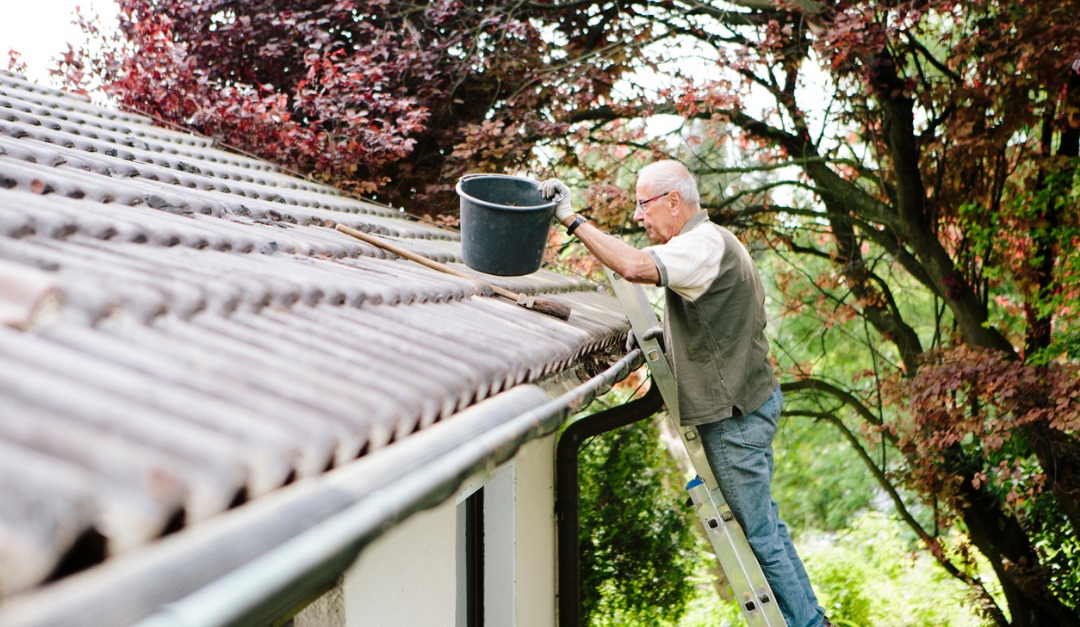 7 Spring Maintenance Musts for Your Home — RISMedia