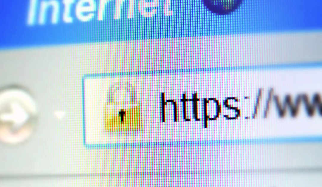 How to Shop Online Safely — RISMedia