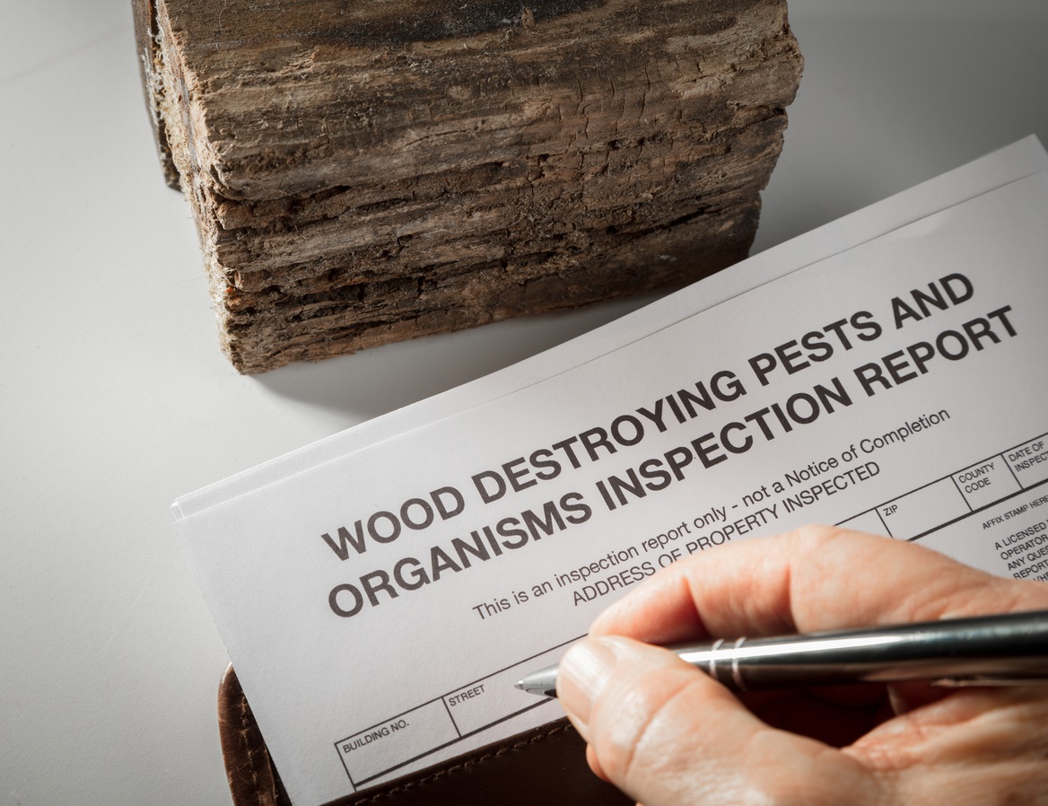 Pests Causing Property Damage? 4 Warning Signs to Look For — RISMedia