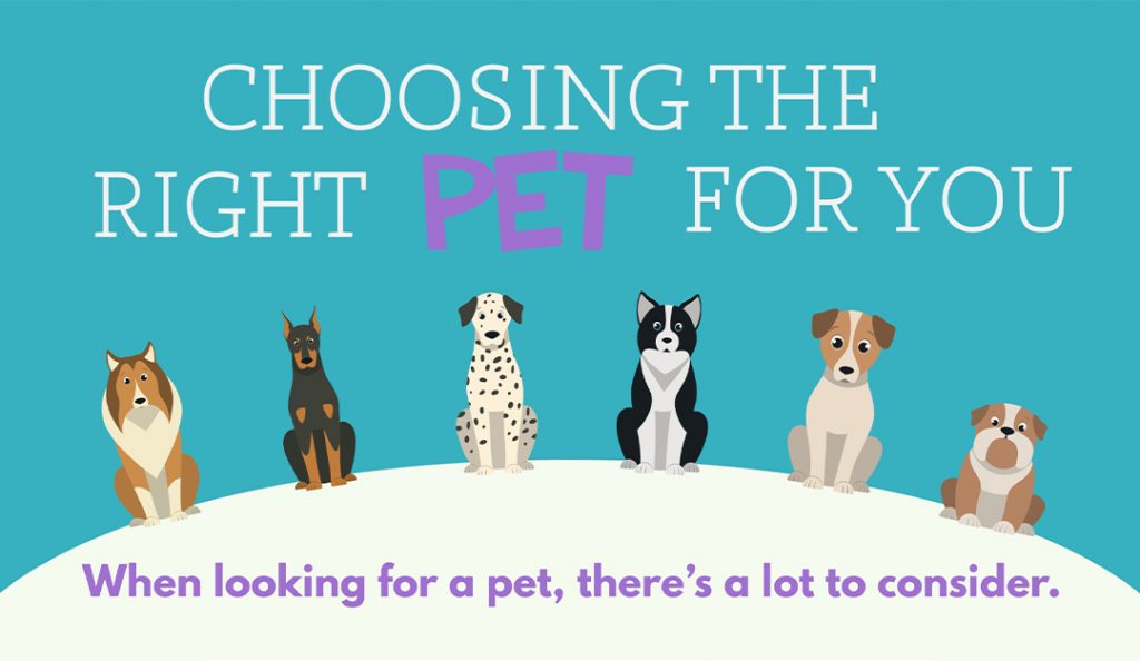Choosing the Right Pet for You — RISMedia