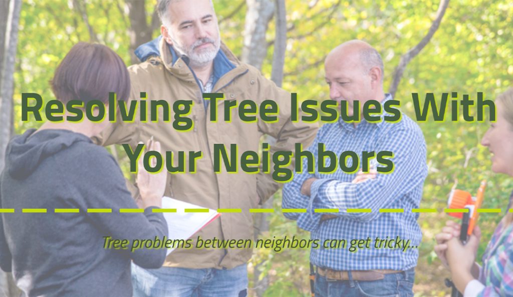 Resolving Tree Issues With Your Neighbors — RISMedia