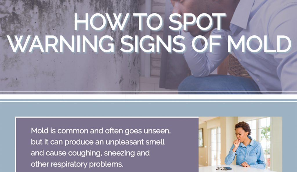 How to Spot Warning Signs of Mold — RISMedia