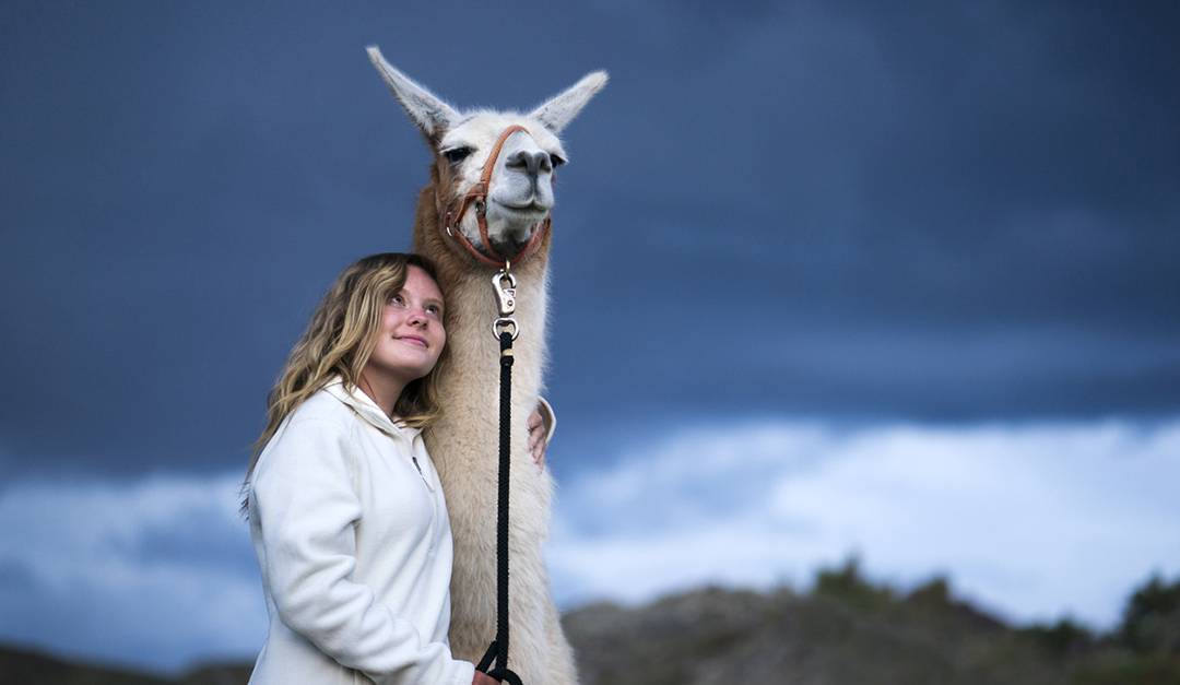 Teenage girl and a llama in mountains — RISMedia
