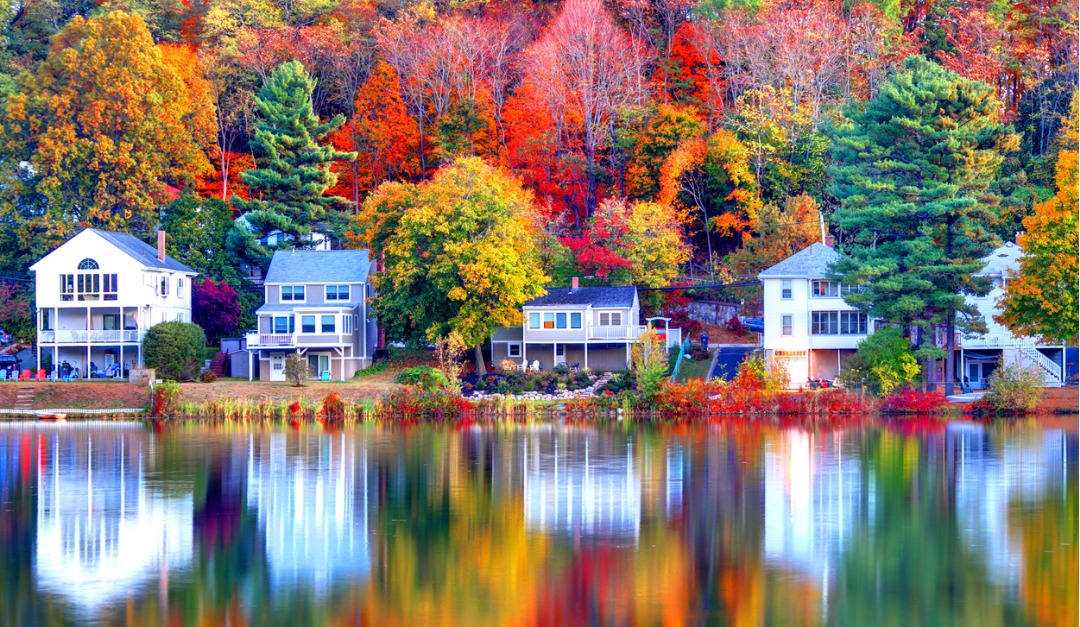 The Best Trees to Add Beautiful Fall Foliage to Your Yard — RISMedia