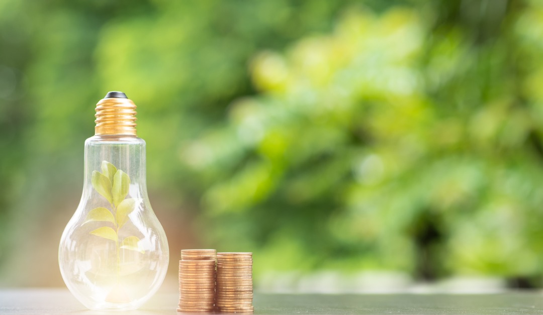 How Planting Trees Can Lower Your Energy Bills — RISMedia