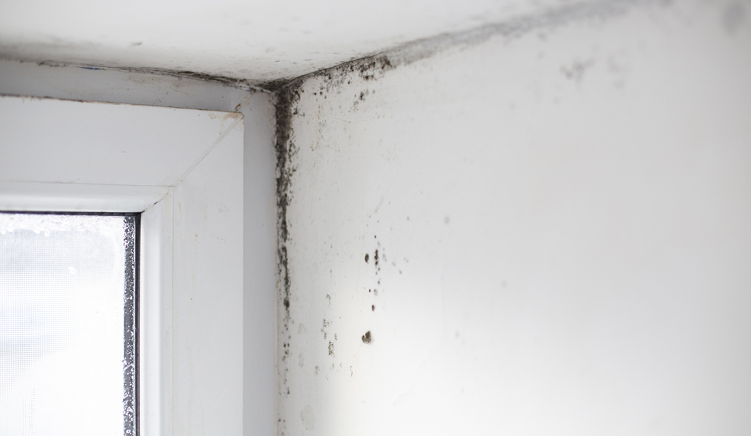 What Is Sick House Syndrome, and What Causes It? — RISMedia