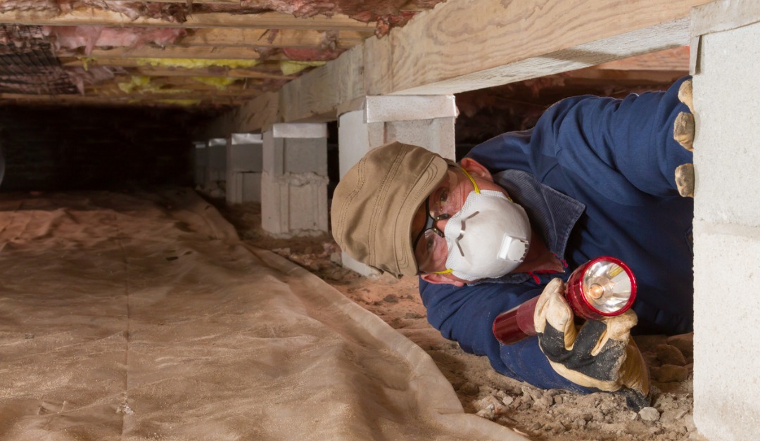How to Keep Animals Out of Your Crawlspace — RISMedia
