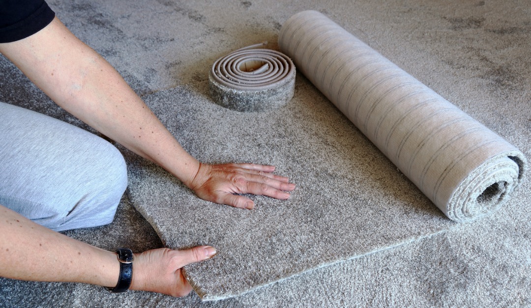 Signs That It's Time to Replace Your Carpet — RISMedia