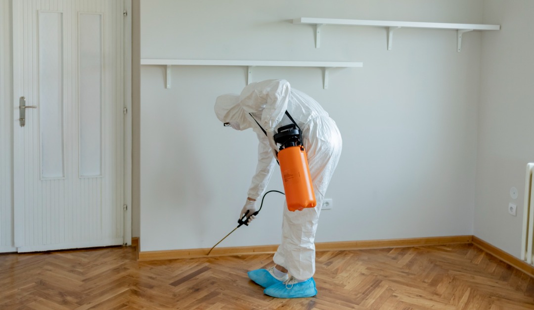 Top Mold Prevention Tips for Your Home — RISMedia