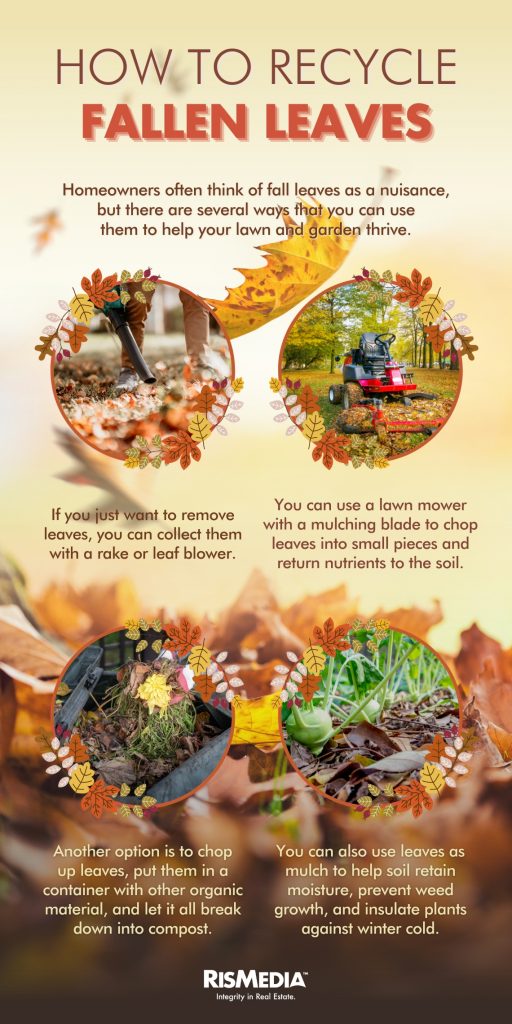 How to Recycle Fallen Leaves — RISMedia