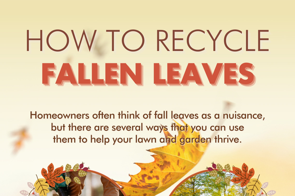 How to Recycle Fallen Leaves — RISMedia
