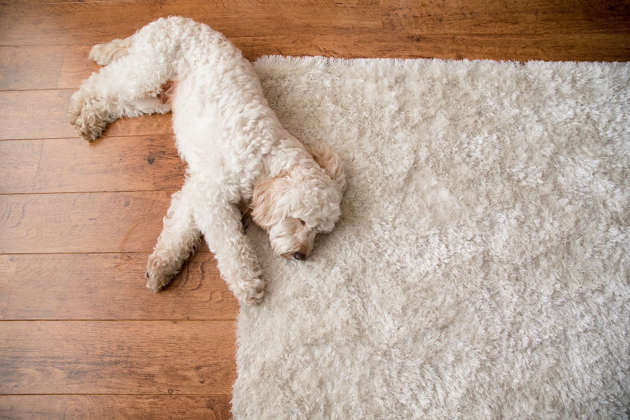 How to Protect Your Floors From Damage — RISMedia