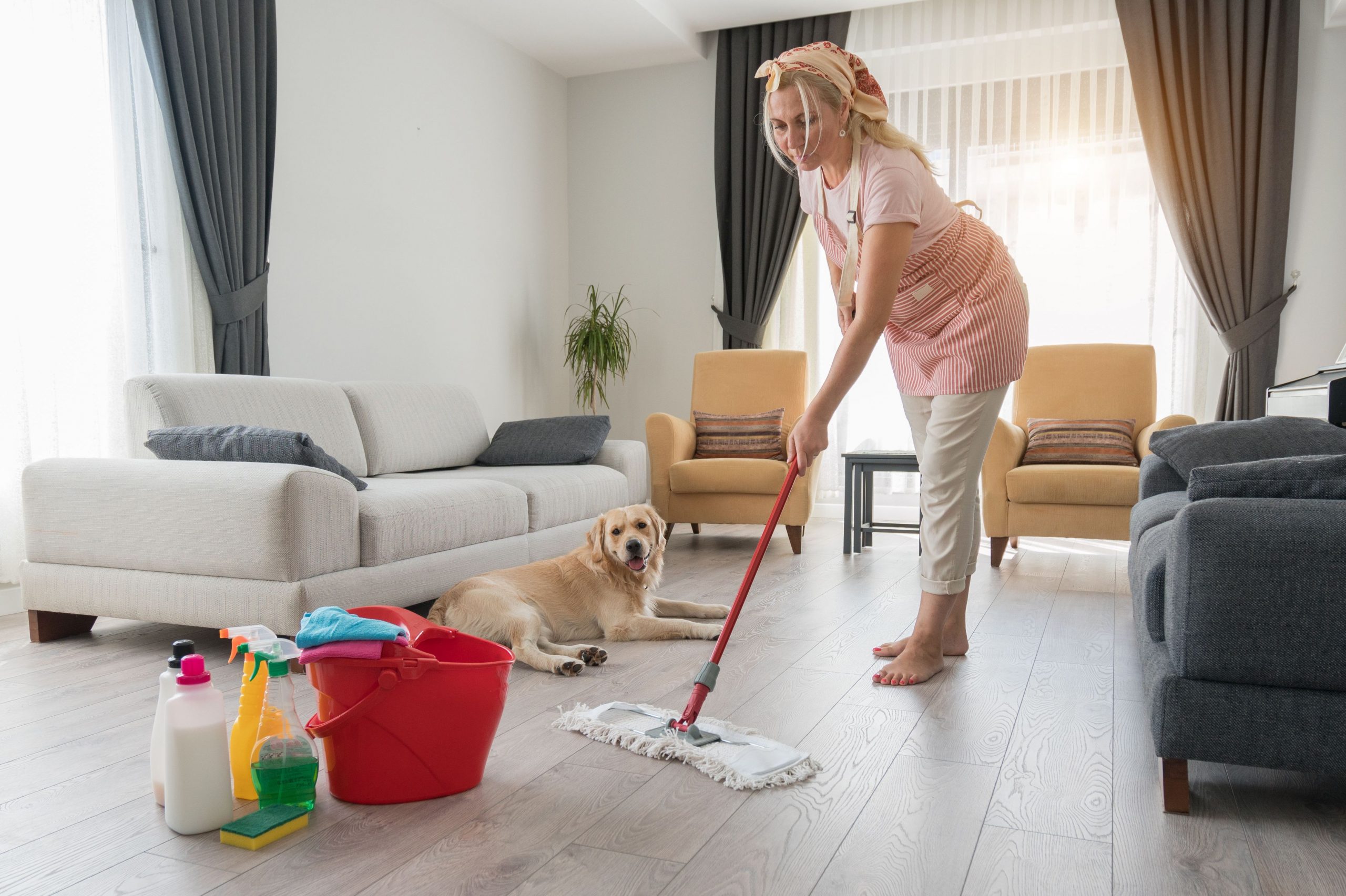 Cleaning Tips to Keep Pet-Loving Homes Fresh and Clean — RISMedia